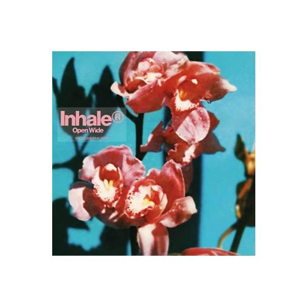 【発売日：2025年02月07日】ご注文後のキャンセル・返品は承れません。発売日:2025年02月07日/商品ID:6802523/ジャンル:ROCK/POP/フォーマット:LP/構成数:1/レーベル:Polydor/アーティスト:Inha...