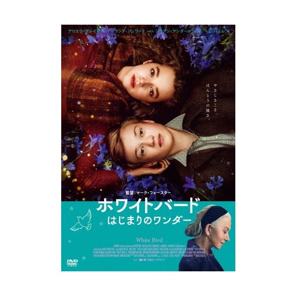 【発売日：2025年06月18日】ご注文後のキャンセル・返品は承れません。発売日:2025年06月18日/商品ID:6804128/ジャンル:映画/TVドラマ/フォーマット:DVD/構成数:1/レーベル:キノフィルムズ、木下グループ/アーテ...