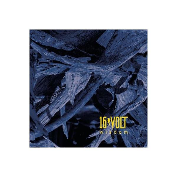 【発売日：2025年06月06日】ご注文後のキャンセル・返品は承れません。発売日:2025年06月06日/商品ID:6805589/ジャンル:ROCK/POP/フォーマット:LP/構成数:1/レーベル:Metropolis/アーティスト:1...