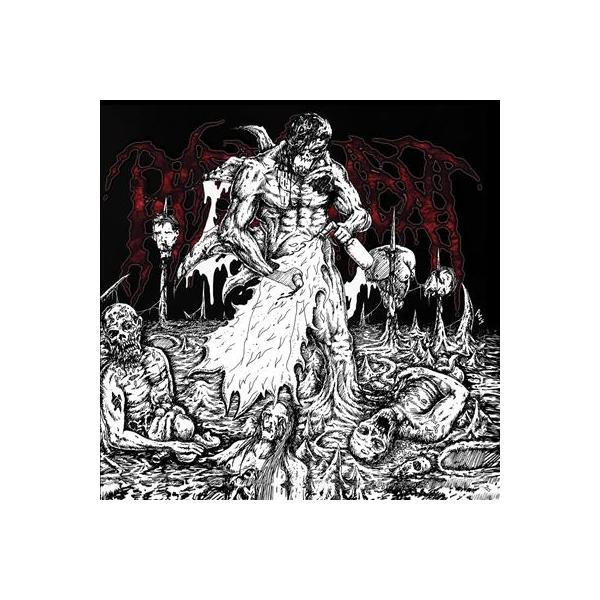 【発売日：2025年05月09日】ご注文後のキャンセル・返品は承れません。発売日:2025年05月09日/商品ID:6805734/ジャンル:ROCK/POP/フォーマット:CD/構成数:1/レーベル:New Folk Records/アー...