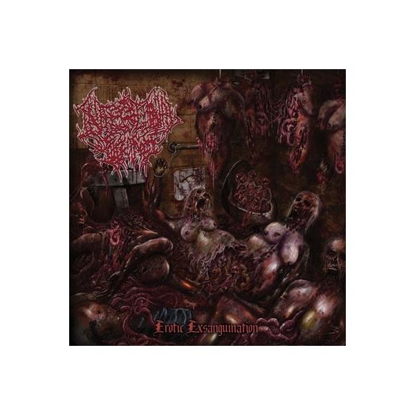 【発売日：2025年05月09日】ご注文後のキャンセル・返品は承れません。発売日:2025年05月09日/商品ID:6807229/ジャンル:ROCK/POP/フォーマット:CD/構成数:1/レーベル:New Standard Elite/...