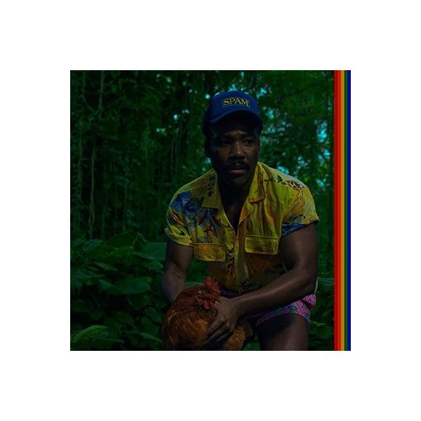 【発売日：2025年04月18日】ご注文後のキャンセル・返品は承れません。発売日:2025年04月18日/商品ID:6807838/ジャンル:SOUL/CLUB/RAP/フォーマット:LP/構成数:2/レーベル:Wolf+Rothstein...