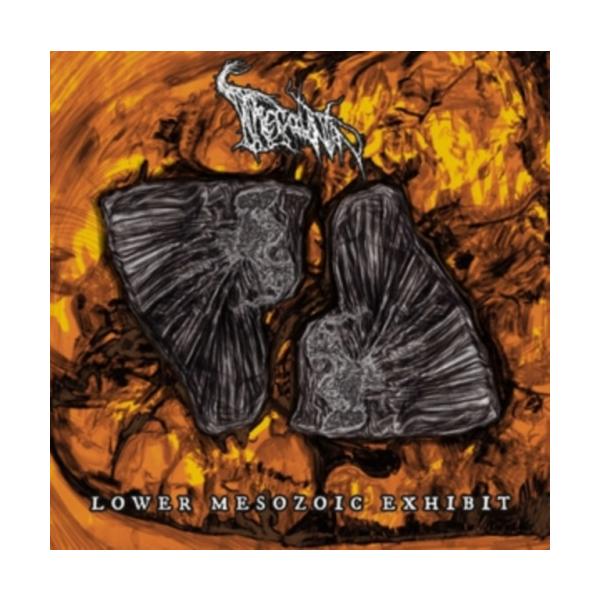 【発売日：2025年04月04日】ご注文後のキャンセル・返品は承れません。発売日:2025年04月04日/商品ID:6808045/ジャンル:ROCK/POP/フォーマット:CD/構成数:1/レーベル:Chaos Records/アーティス...