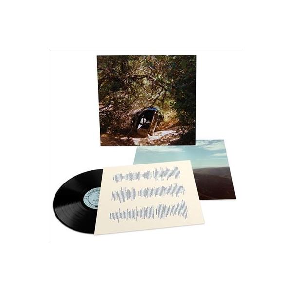 【発売日：2025年06月06日】ご注文後のキャンセル・返品は承れません。発売日:2025年06月06日/商品ID:6809189/ジャンル:ROCK/POP/フォーマット:LP/構成数:1/レーベル:Drag City/アーティスト:Ty...