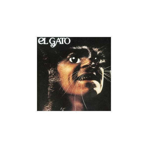 【発売日：2025年05月07日】ご注文後のキャンセル・返品は承れません。OLS50※こちらはアウトレットセール商品となります。パッケージ等に破損などダメージがある場合がございますが、外装不良による交換、返品はできかねますので予めご了承くだ...