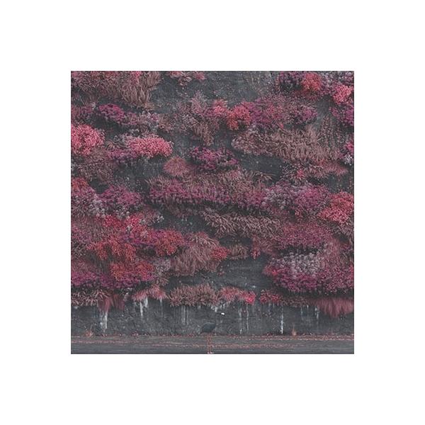 【発売日：2025年05月09日】ご注文後のキャンセル・返品は承れません。発売日:2025年05月09日/商品ID:6811579/ジャンル:ROCK/POP/フォーマット:CD/構成数:1/レーベル:Sleep Token/RCA Rec...