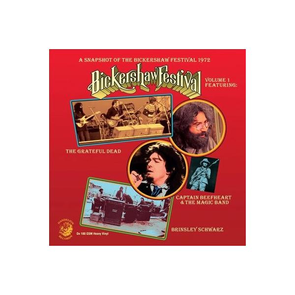 【発売日：2025年04月25日】ご注文後のキャンセル・返品は承れません。発売日:2025年04月25日/商品ID:6813136/ジャンル:ROCK/POP/フォーマット:LP/構成数:1/レーベル:Ozit/タイトル:A Snapsho...