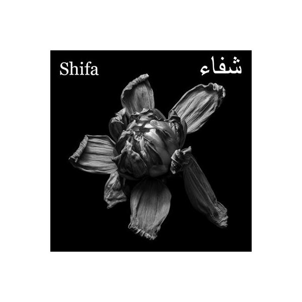 【発売日：2025年07月25日】ご注文後のキャンセル・返品は承れません。発売日:2025年07月25日/商品ID:6821920/ジャンル:JAZZ/フォーマット:CD/構成数:1/レーベル:Discus/アーティスト:Shifa/タイト...