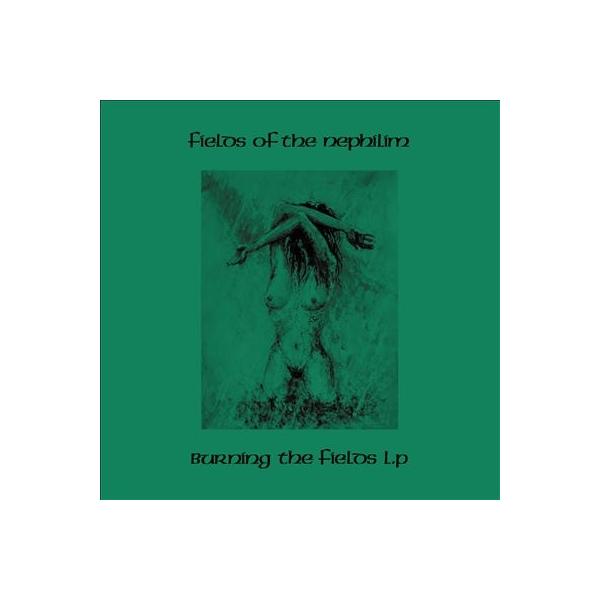 【発売日：2025年06月13日】ご注文後のキャンセル・返品は承れません。発売日:2025年06月13日/商品ID:6824592/ジャンル:ROCK/POP/フォーマット:CD/構成数:2/レーベル:Jungle Records/アーティ...