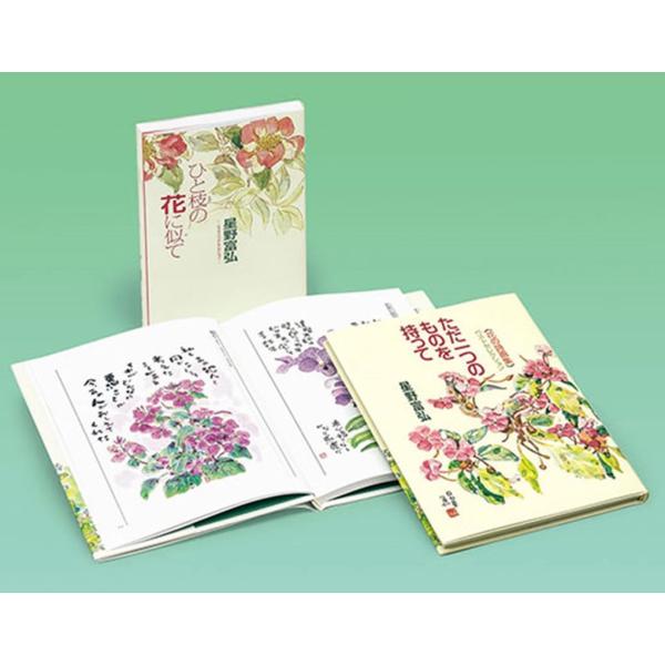 【発売日：2025年04月03日】ご注文後のキャンセル・返品は承れません。発売日:2025年04月03日/商品ID:6825224/ジャンル:DOMESTIC BOOKS/フォーマット:Book/構成数:1/レーベル:偕成社/タイトル:花と...