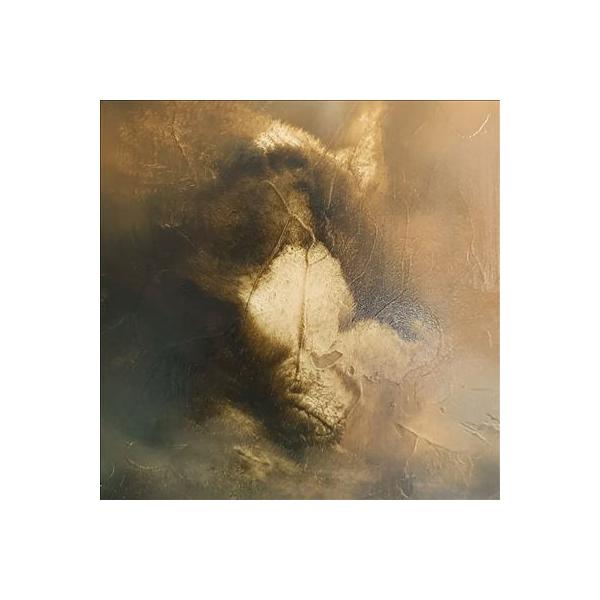 【発売日：2025年05月30日】ご注文後のキャンセル・返品は承れません。発売日:2025年05月30日/商品ID:6827291/ジャンル:ROCK/POP/フォーマット:CD/構成数:1/レーベル:Octopus Rising/アーティ...