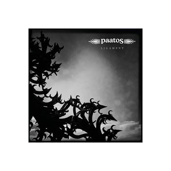 【発売日：2025年05月03日】ご注文後のキャンセル・返品は承れません。発売日:2025年05月03日/商品ID:6828763/ジャンル:ROCK/POP/フォーマット:CD/構成数:1/レーベル:Timeloss Records/アー...