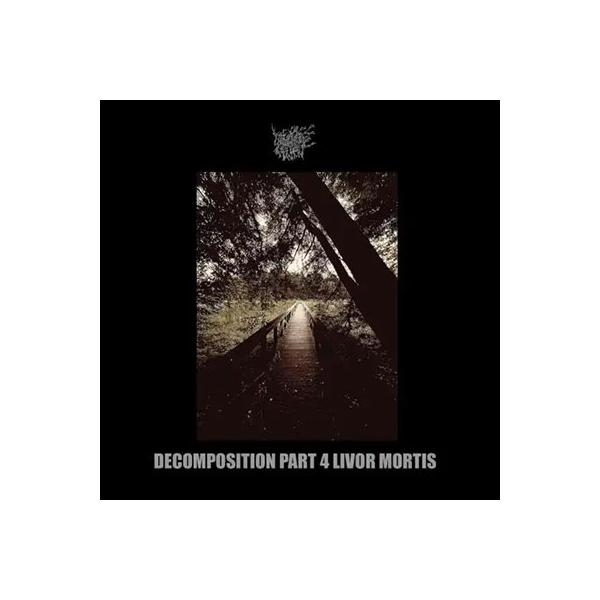 【発売日：2025年05月09日】ご注文後のキャンセル・返品は承れません。発売日:2025年05月09日/商品ID:6828767/ジャンル:ROCK/POP/フォーマット:CD/構成数:1/レーベル:Horror Pain Gore De...