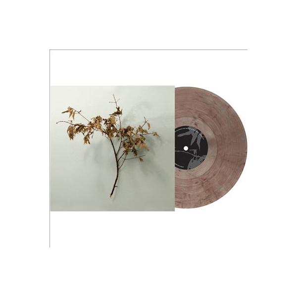 【発売日：2025年06月06日】ご注文後のキャンセル・返品は承れません。発売日:2025年06月06日/商品ID:6831302/ジャンル:ROCK/POP/フォーマット:LP/構成数:1/レーベル:Smartpunk Records/ア...