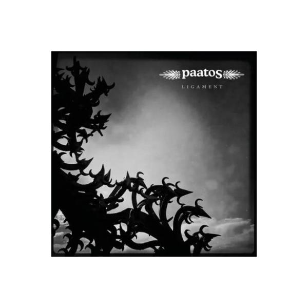 【発売日：2025年06月04日】ご注文後のキャンセル・返品は承れません。発売日:2025年06月04日/商品ID:6832712/ジャンル:ROCK/POP/フォーマット:CD/構成数:1/レーベル:ディスクユニオン/アーティスト:Paa...