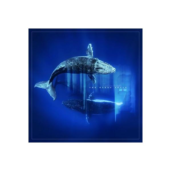 【発売日：2025年06月06日】ご注文後のキャンセル・返品は承れません。発売日:2025年06月06日/商品ID:6834946/ジャンル:ROCK/POP/フォーマット:LP/構成数:2/レーベル:Painted Air/アーティスト:...