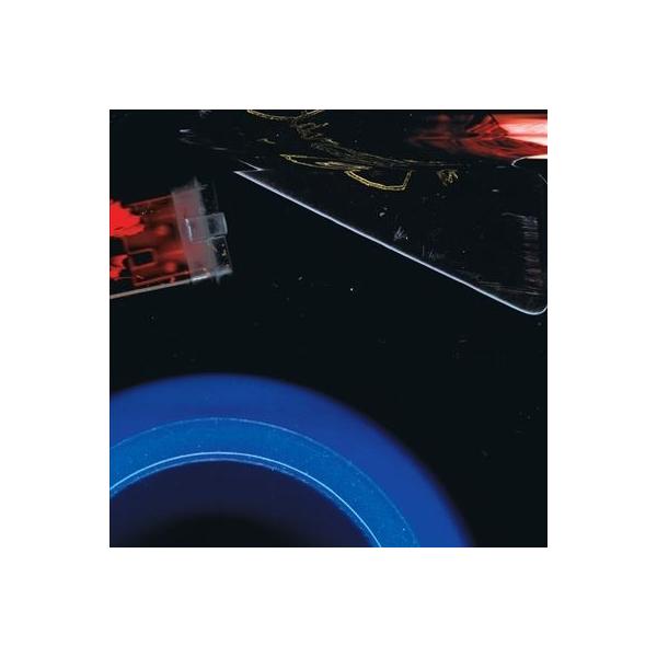 【発売日：2025年05月02日】ご注文後のキャンセル・返品は承れません。発売日:2025年05月上旬/商品ID:6836029/ジャンル:SOUL/CLUB/RAP/フォーマット:LP/構成数:2/レーベル:ANS (Anthony Na...