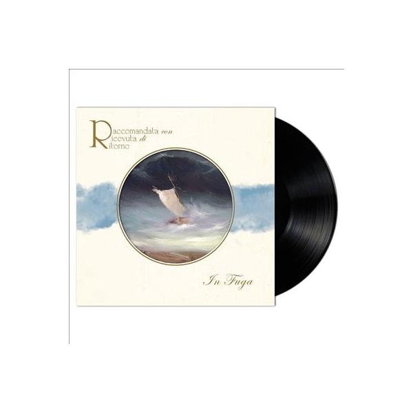 【発売日：2025年05月16日】ご注文後のキャンセル・返品は承れません。発売日:2025年05月16日/商品ID:6836041/ジャンル:ROCK/POP/フォーマット:LP/構成数:1/レーベル:AMS/アーティスト:Raccoman...