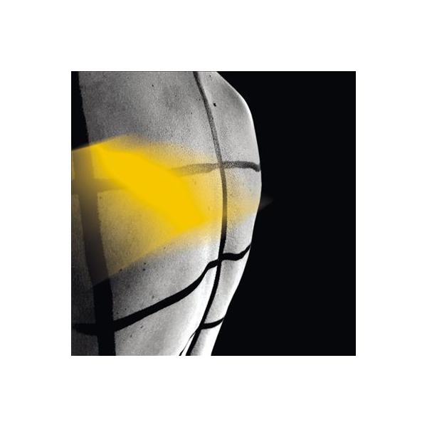 【発売日：2025年05月23日】ご注文後のキャンセル・返品は承れません。発売日:2025年05月23日/商品ID:6836162/ジャンル:JAZZ/フォーマット:LP/構成数:2/レーベル:Curious Music/アーティスト:Er...