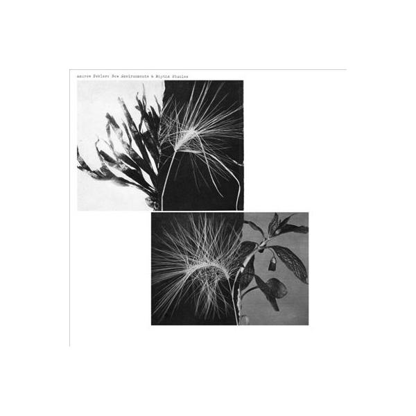 【発売日：2025年06月27日】ご注文後のキャンセル・返品は承れません。発売日:2025年06月27日/商品ID:6843680/ジャンル:SOUL/CLUB/RAP/フォーマット:LP/構成数:1/レーベル:Faitiche/アーティス...