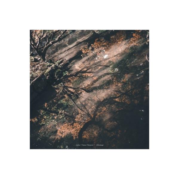 【発売日：2025年07月23日】ご注文後のキャンセル・返品は承れません。発売日:2025年07月23日/商品ID:6848434/ジャンル:SOUL/CLUB/RAP/フォーマット:LP/構成数:1/レーベル:Stereofox/アーティ...