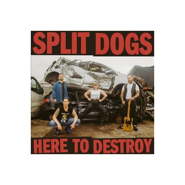 【発売日：2025年06月20日】ご注文後のキャンセル・返品は承れません。発売日:2025年06月20日/商品ID:6849279/ジャンル:ROCK/POP/フォーマット:12inch Single/構成数:1/レーベル:Venn Rec...