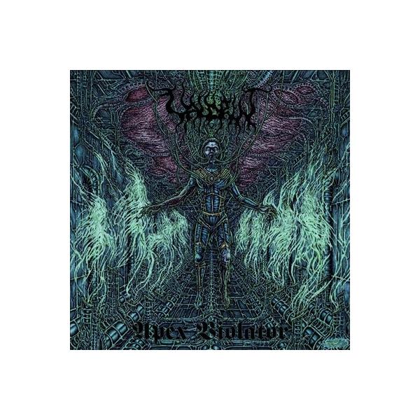 【発売日：2025年08月08日】ご注文後のキャンセル・返品は承れません。発売日:2025年08月08日/商品ID:6849347/ジャンル:ROCK/POP/フォーマット:CD/構成数:1/レーベル:Avantgarde/アーティスト:V...