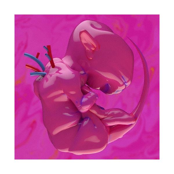 【発売日：2025年08月01日】ご注文後のキャンセル・返品は承れません。発売日:2025年08月01日/商品ID:6851396/ジャンル:J-POP/フォーマット:CD/構成数:1/レーベル:エコラプトメノス/アーティスト:春ねむり/ア...