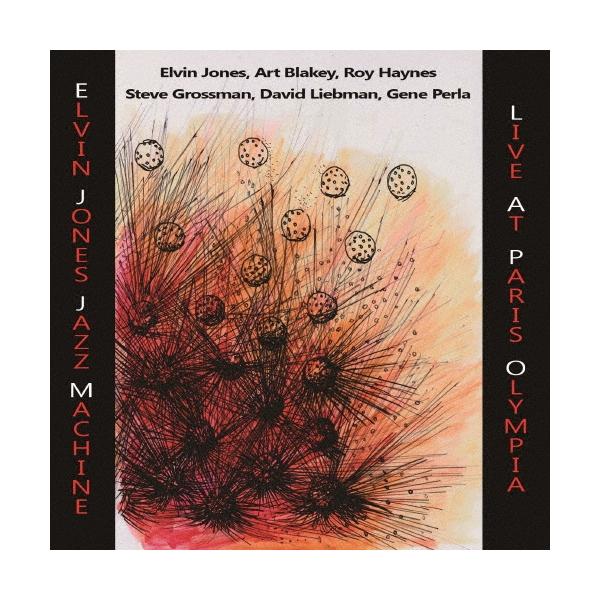 【発売日：2025年07月16日】ご注文後のキャンセル・返品は承れません。発売日:2025年07月16日/商品ID:6853991/ジャンル:JAZZ/フォーマット:CD/構成数:1/レーベル:SOLID/P.M. RECORDS/アーティ...