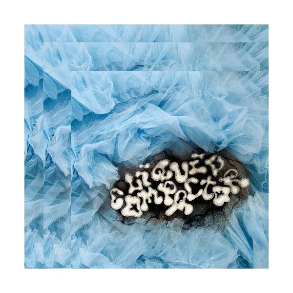 【発売日：2025年07月04日】ご注文後のキャンセル・返品は承れません。発売日:2025年07月04日/商品ID:6871717/ジャンル:ROCK/POP/フォーマット:CD/構成数:1/レーベル:Forward Music Group...