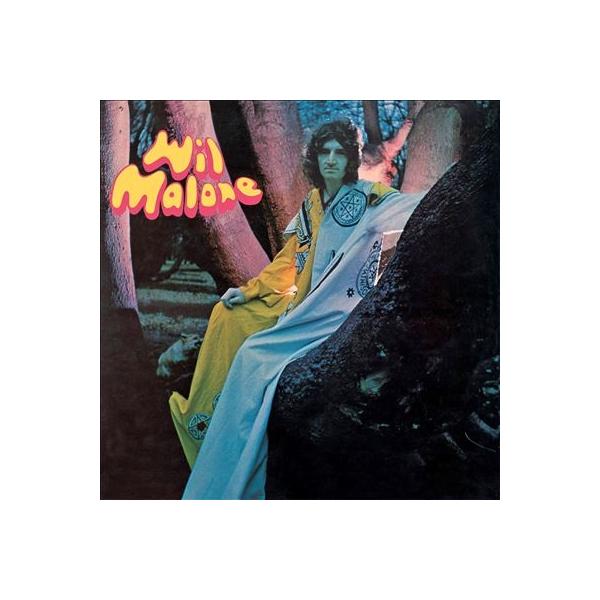 【発売日：2025年08月08日】ご注文後のキャンセル・返品は承れません。発売日:2025年08月08日/商品ID:6879734/ジャンル:ROCK/POP/フォーマット:LP/構成数:1/レーベル:Morgan Blue Town/アー...