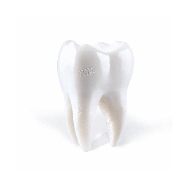 【発売日：2025年07月09日】ご注文後のキャンセル・返品は承れません。発売日:2025年07月09日/商品ID:6901869/ジャンル:ROCK/POP/フォーマット:CD/構成数:1/レーベル:Play It Again Sam/ア...