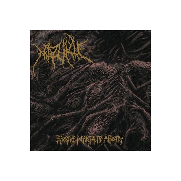 【発売日：2025年08月08日】ご注文後のキャンセル・返品は承れません。発売日:2025年08月08日/商品ID:6905378/ジャンル:ROCK/POP/フォーマット:CD/構成数:1/レーベル:New Standard Elite/...