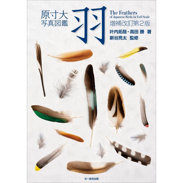 【発売日：2025年07月02日】ご注文後のキャンセル・返品は承れません。発売日:2025年07月02日/商品ID:6906256/ジャンル:DOMESTIC BOOKS/フォーマット:Book/構成数:1/レーベル:文一総合出版/アーティ...