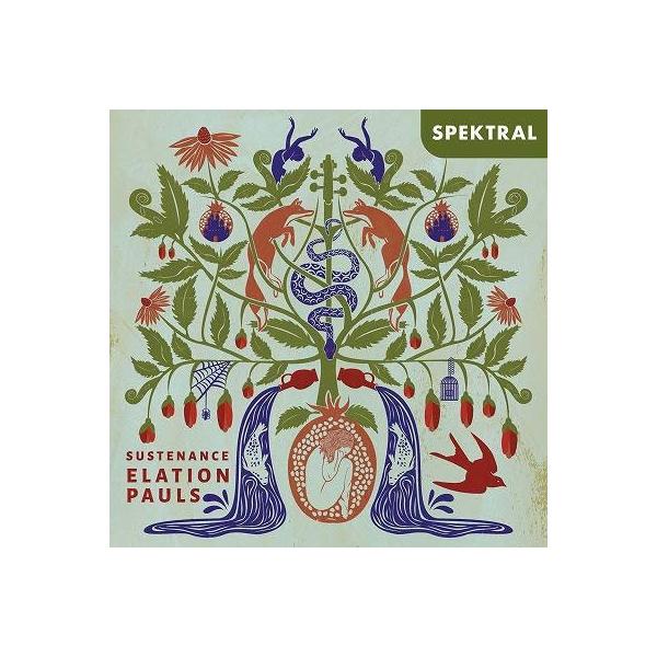 【発売日：2025年08月23日】ご注文後のキャンセル・返品は承れません。発売日:2025年08月23日/商品ID:6906762/ジャンル:CLASSICAL/フォーマット:CD/構成数:1/レーベル:Spektral/アーティスト:エレ...