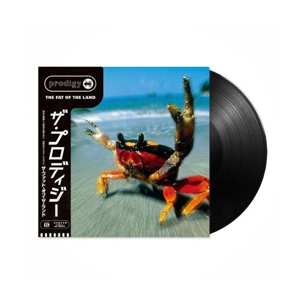 【発売日：2025年08月08日】ご注文後のキャンセル・返品は承れません。発売日:2025年08月08日/商品ID:6912739/ジャンル:SOUL/CLUB/RAP/フォーマット:LP/構成数:3/レーベル:XL Recordings/...