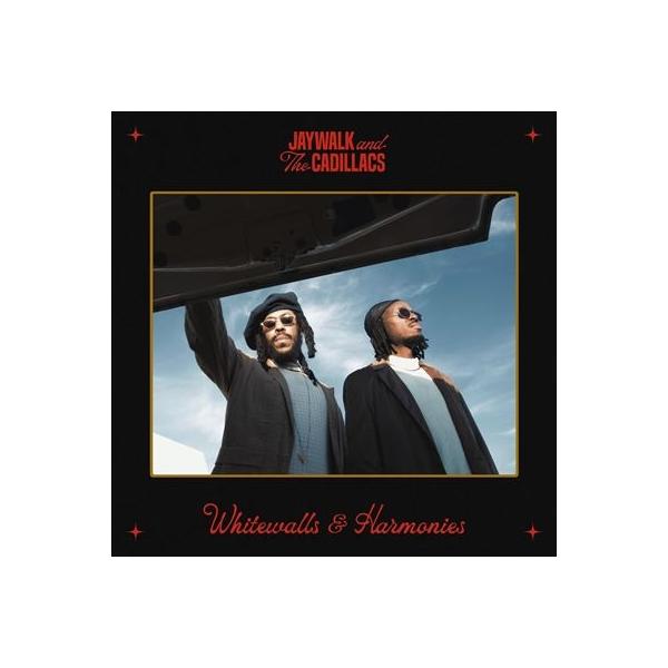 【発売日：2025年09月26日】ご注文後のキャンセル・返品は承れません。発売日:2025年09月26日/商品ID:6914923/ジャンル:SOUL/CLUB/RAP/フォーマット:LP/構成数:1/レーベル:McNasty/アーティスト...