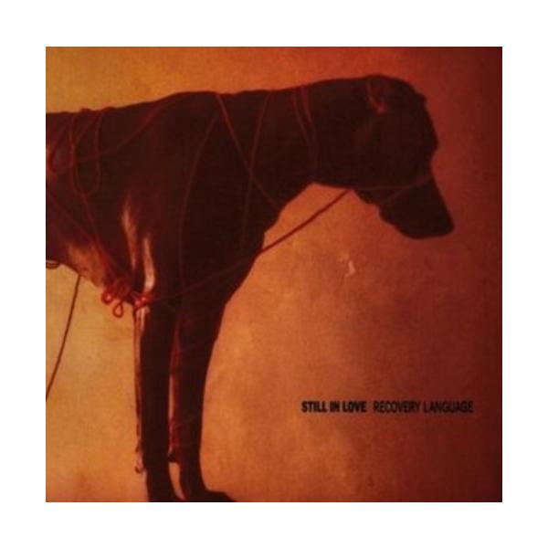 【発売日：2025年09月05日】ご注文後のキャンセル・返品は承れません。発売日:2025年09月05日/商品ID:6914924/ジャンル:ROCK/POP/フォーマット:CD/構成数:1/レーベル:Church Road Records...