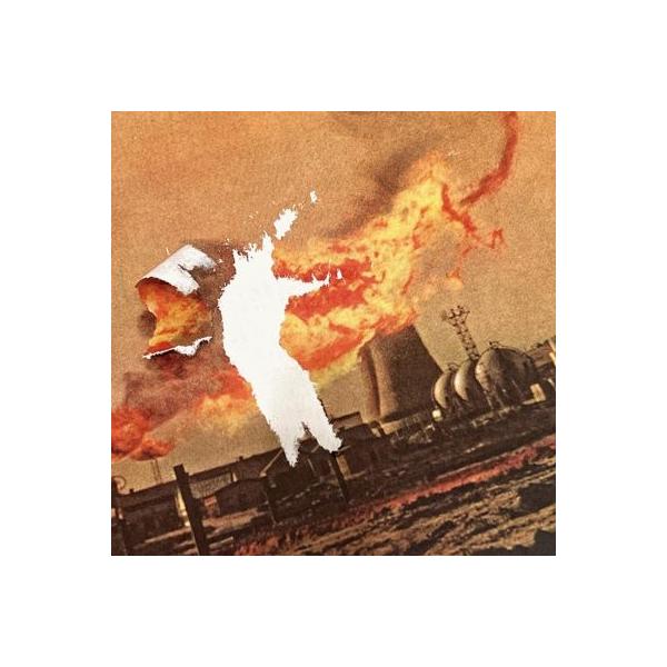 【発売日：2025年10月03日】ご注文後のキャンセル・返品は承れません。発売日:2025年10月03日/商品ID:6919622/ジャンル:ROCK/POP/フォーマット:CD/構成数:1/レーベル:Constellation/アーティス...