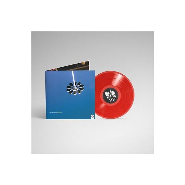 【発売日：2025年07月25日】ご注文後のキャンセル・返品は承れません。発売日:2025年07月25日/商品ID:6921613/ジャンル:ROCK/POP/フォーマット:LP/構成数:1/レーベル:Dance to the Radio/...