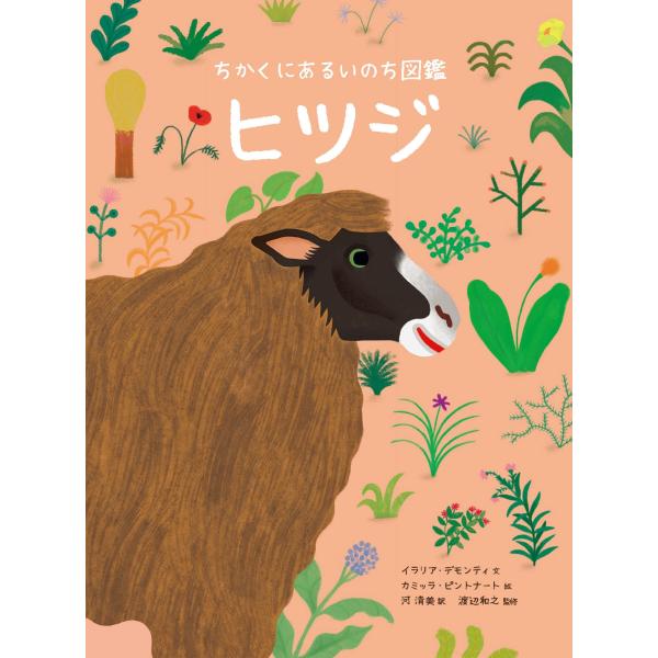 【発売日：2025年09月26日】ご注文後のキャンセル・返品は承れません。発売日:2025年09月26日/商品ID:6924069/ジャンル:DOMESTIC BOOKS/フォーマット:Book/構成数:1/レーベル:化学同人/アーティスト...