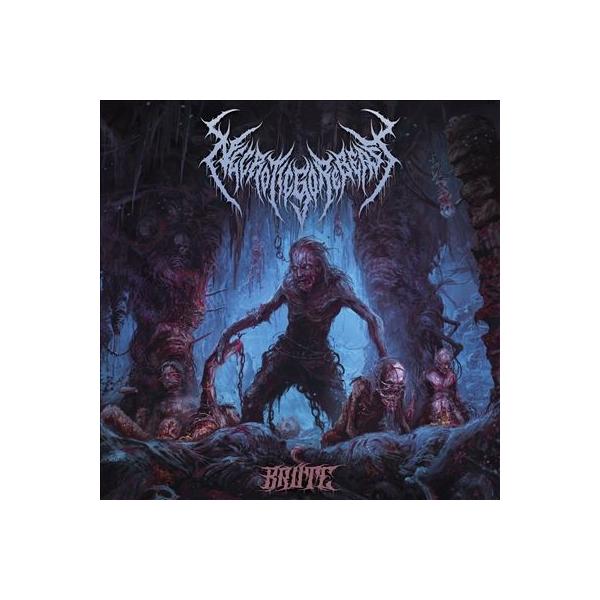 【発売日：2025年09月12日】ご注文後のキャンセル・返品は承れません。発売日:2025年09月12日/商品ID:6924348/ジャンル:ROCK/POP/フォーマット:CD/構成数:1/レーベル:Comatose Music/アーティ...