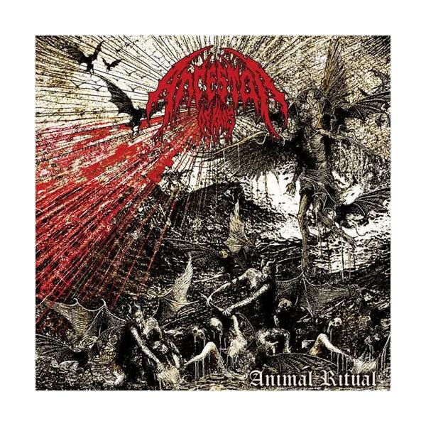 【発売日：2025年07月29日】ご注文後のキャンセル・返品は承れません。発売日:2025年07月29日/商品ID:6926761/ジャンル:ROCK/POP/フォーマット:CD/構成数:1/レーベル:Horror Pain Gore De...