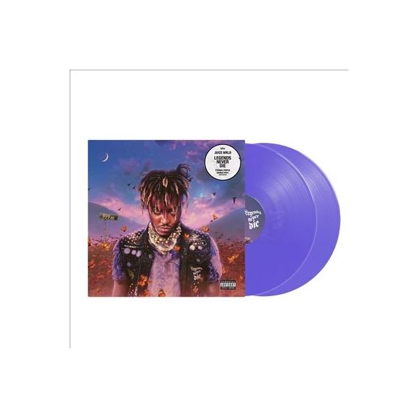 【発売日：2025年08月08日】ご注文後のキャンセル・返品は承れません。発売日:2025年08月08日/商品ID:6930814/ジャンル:SOUL/CLUB/RAP/フォーマット:LP/構成数:2/レーベル:Interscope/アーテ...