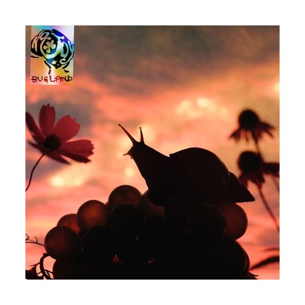 【発売日：2025年09月12日】ご注文後のキャンセル・返品は承れません。発売日:2025年09月12日/商品ID:6933780/ジャンル:ROCK/POP/フォーマット:LP/構成数:1/レーベル:Hand Drawn Dracula/...