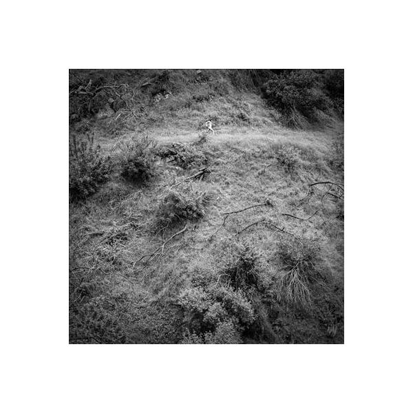 【発売日：2025年08月29日】ご注文後のキャンセル・返品は承れません。発売日:2025年08月29日/商品ID:6933849/ジャンル:COUNTRY/BLUES/フォーマット:LP/構成数:1/レーベル:Fluff &amp; Gr...