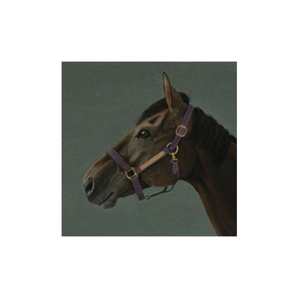 【発売日：2025年10月22日】ご注文後のキャンセル・返品は承れません。発売日:2025年10月22日/商品ID:6941314/ジャンル:JAZZ/フォーマット:CD/構成数:1/レーベル:Kamnabi Records/アーティスト:...