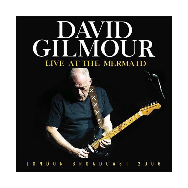 【発売日：2025年08月20日】ご注文後のキャンセル・返品は承れません。発売日:2025年08月20日/商品ID:6942134/ジャンル:ROCK/POP/フォーマット:CD/構成数:1/レーベル:Gossip/アーティスト:David...