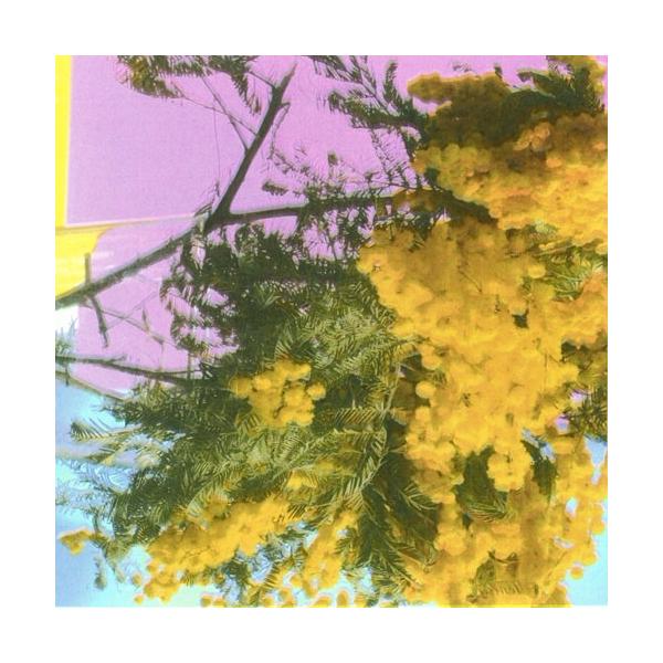 【発売日：2025年09月05日】ご注文後のキャンセル・返品は承れません。発売日:2025年09月05日/商品ID:6942210/ジャンル:SOUL/CLUB/RAP/フォーマット:12inch Single/構成数:1/レーベル:XL ...