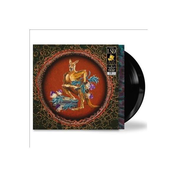 【発売日：2025年09月19日】ご注文後のキャンセル・返品は承れません。発売日:2025年09月19日/商品ID:6942255/ジャンル:ROCK/POP/フォーマット:LP/構成数:2/レーベル:The Alphabet Busine...